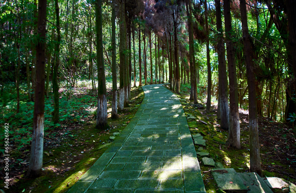 Stone paths on Jinping Mountain in the ancient city of Langzhong ...