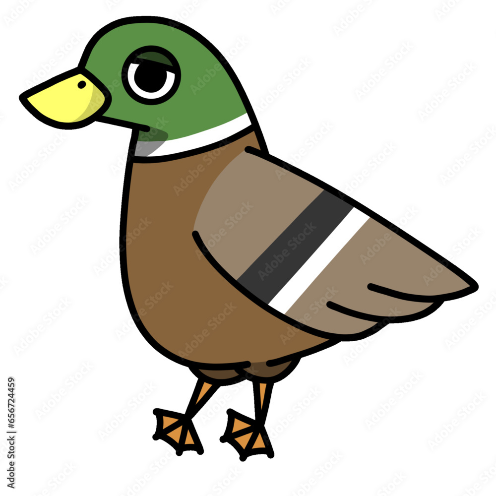 cute mallard duck cartoon drawing transparent background vector ...