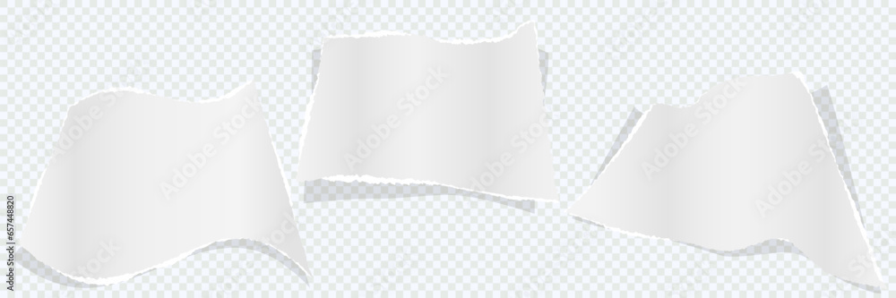 White torn paper rip pieces with torn adges and soft shadow. Blank ...