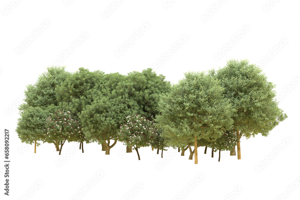 Realistic forest isolated on transparent background. 3d rendering ...
