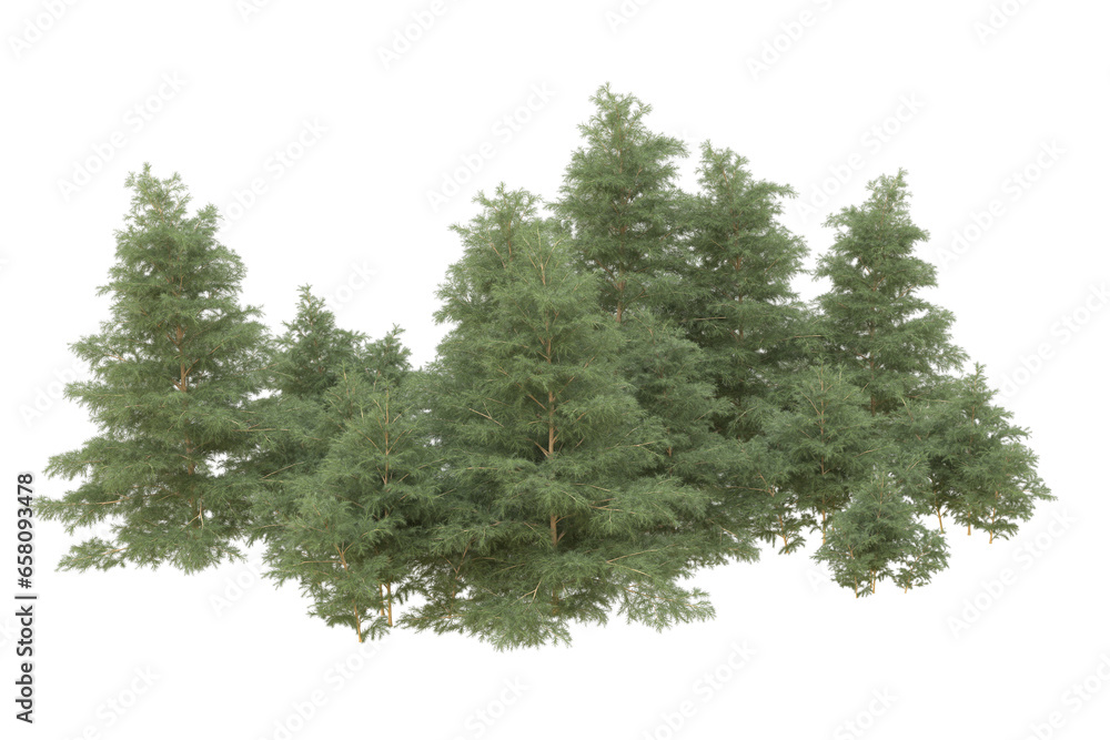 Realistic forest isolated on transparent background. 3d rendering ...