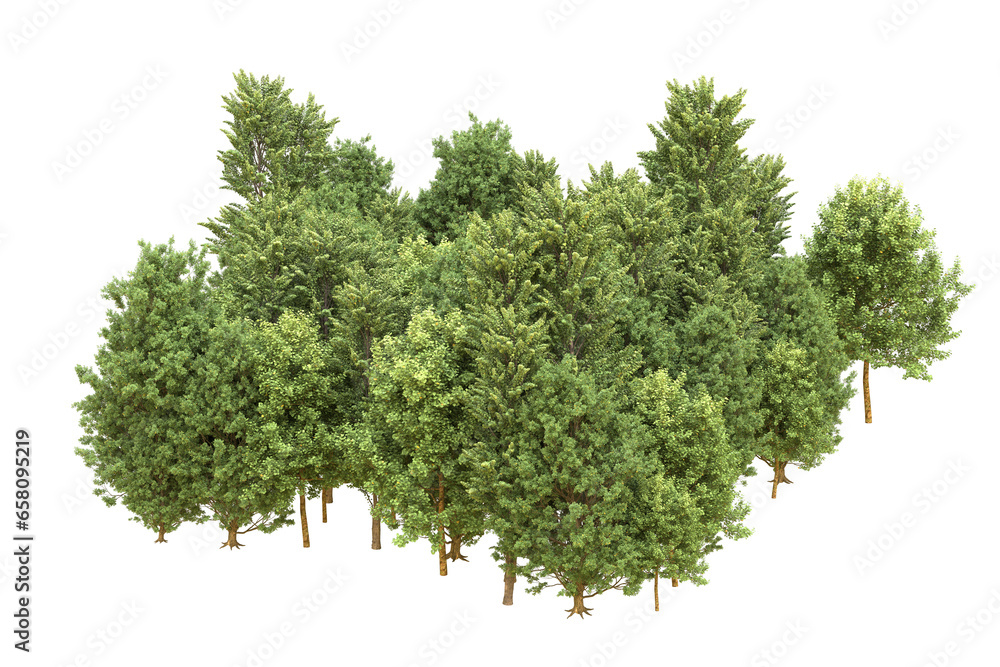 Realistic forest isolated on transparent background. 3d rendering ...