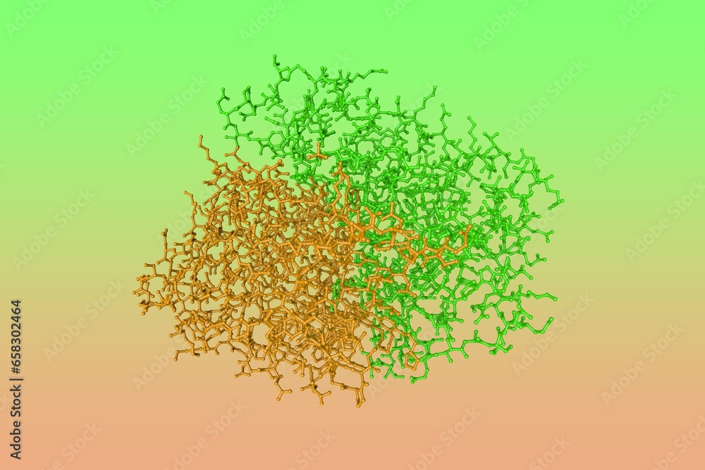 Human quinone reductase 2 (NQO2). Space-filling molecular model ...