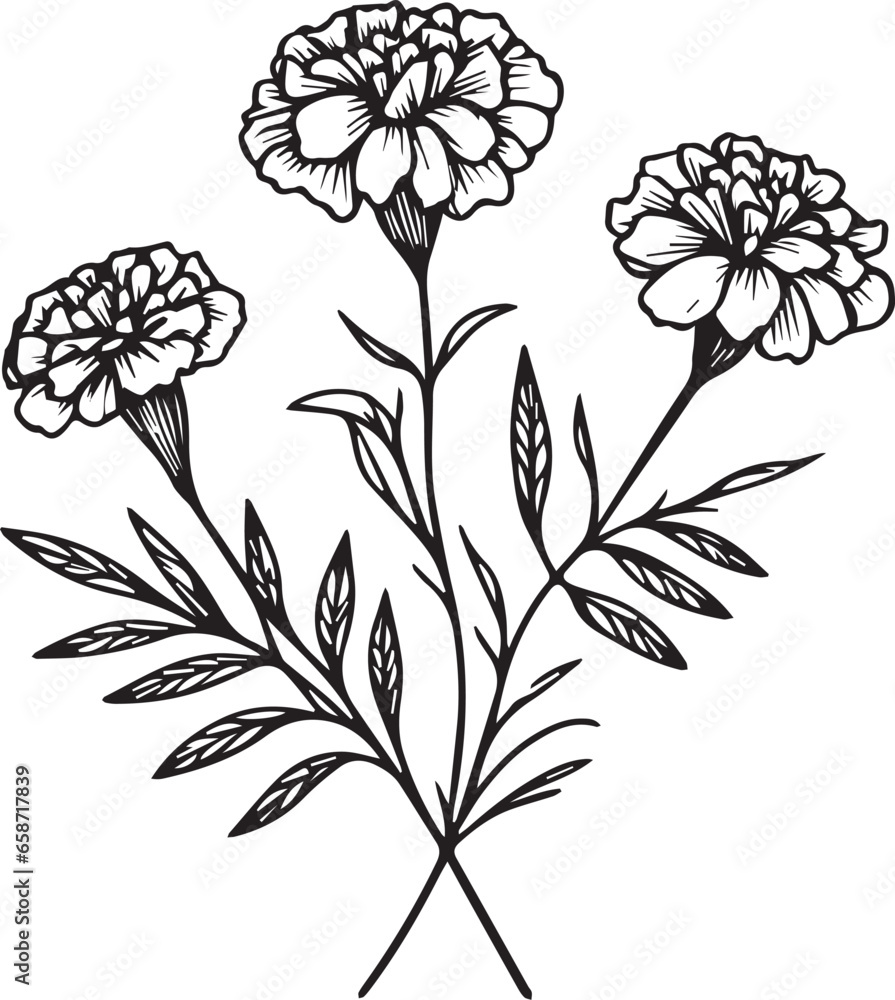 Cute flower coloring pages, marigold drawing, yellow marigold flower ...