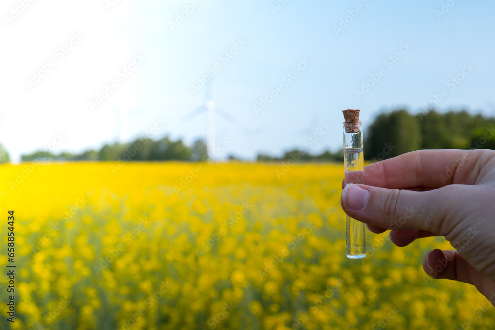 Hand holding test tube with liquid on background of canola flowers ...