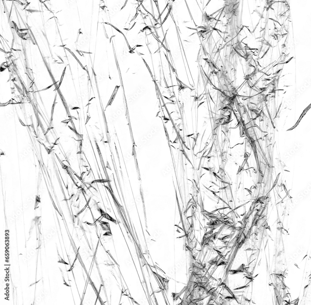 Wrinkled plastic wrap texture on transparent background wallpaper ...