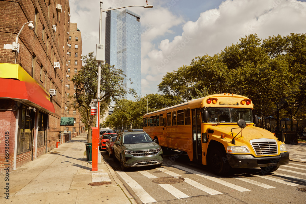yellow school bus and cars on crosswalk near trees with fall foliage in ...