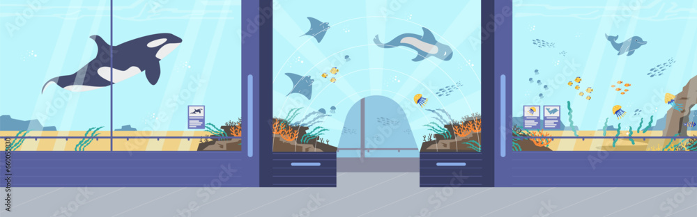 Oceanarium, marine flora and fauna vector illustration, underwater and ...