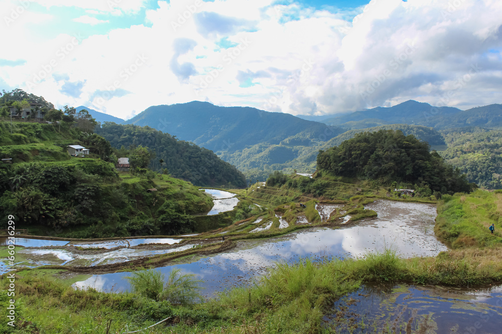 Rice terraces in Philippines. Rice paddies valley of Batad, Philippines ...
