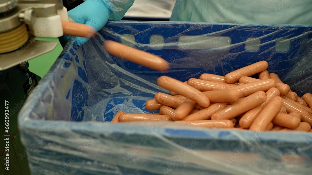 Packing sausages into boxes on a conveyor belt. Modern poultry ...