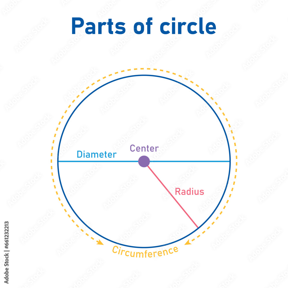 Parts of circle. Circles for kids. Radius, Diameter, Circumference and circle. Mathematics ...