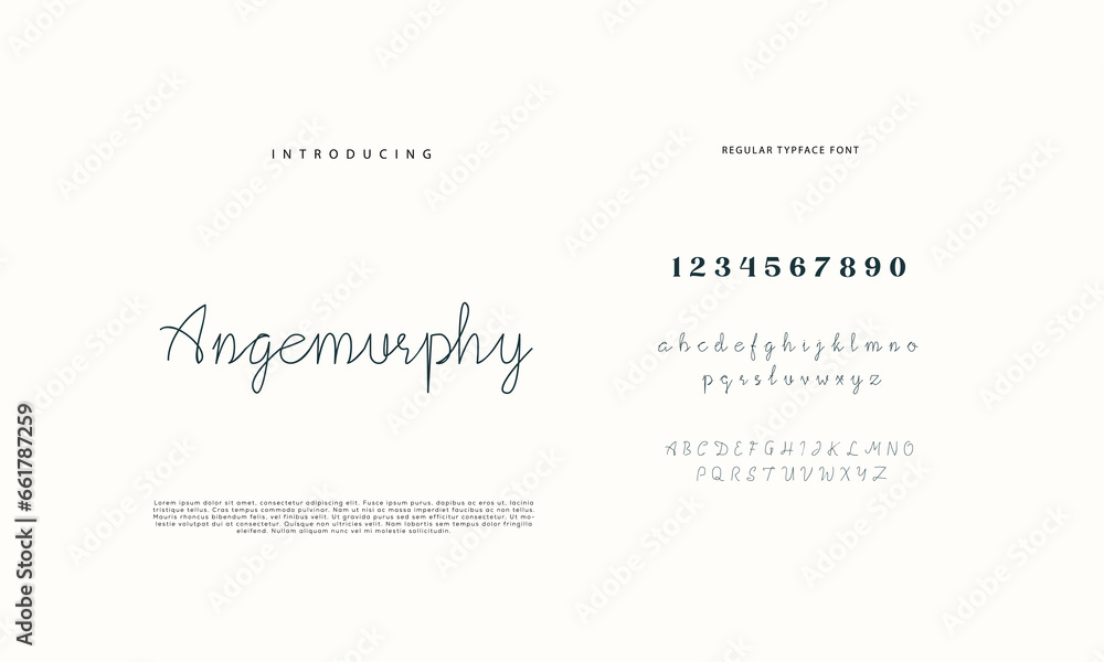 Handwritten Script font. Hand drawn brush style modern calligraphy ...