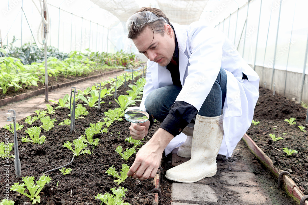 Botanist scientist man in lab coat works on experimental plant plots ...