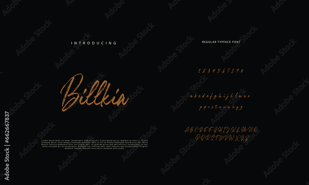 Handwritten Script font. Hand drawn brush style modern calligraphy ...