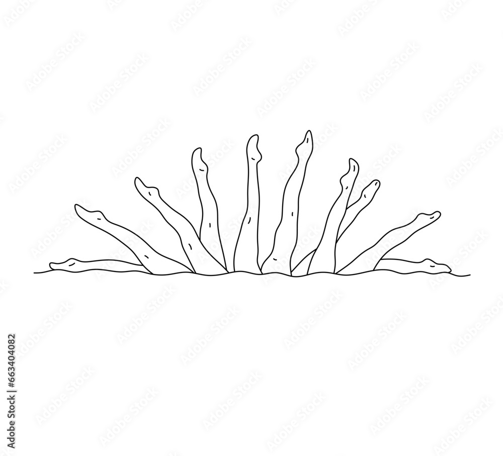 Vector isolated many woman legs in the pool synchronized swimming team ...