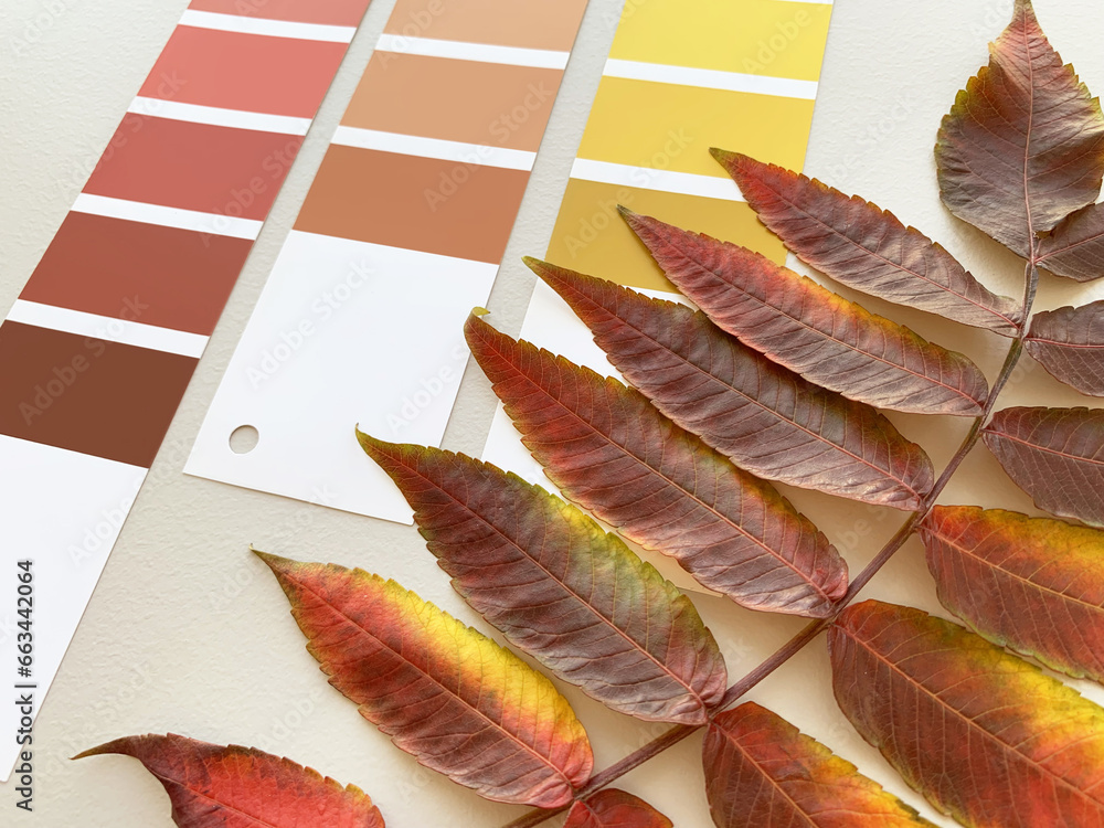 Concept: nature inspires colors. Paint samples with autumn leaves on a ...
