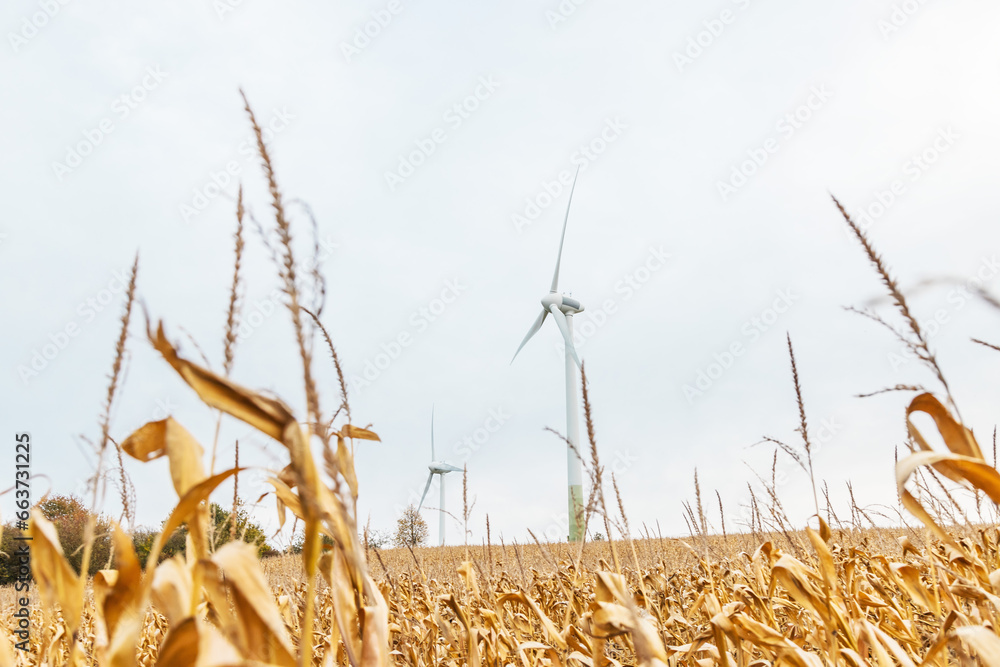 Wind turbine in a field for sustainable energy and against climate ...