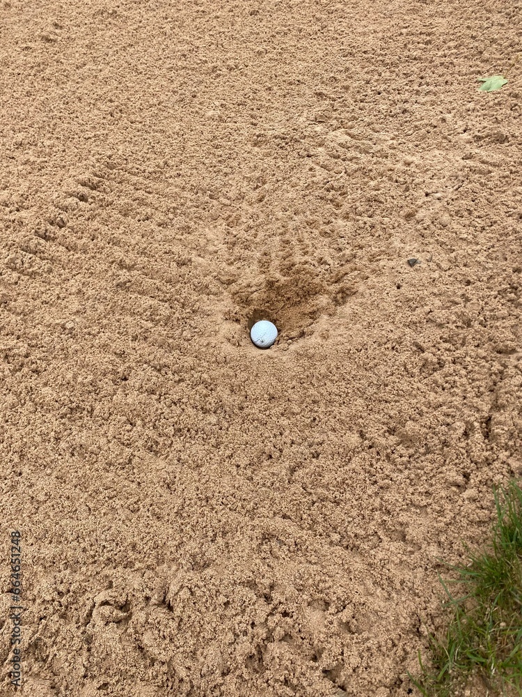 Golf ball plugged in a bunker in the sand next to a golf green also ...
