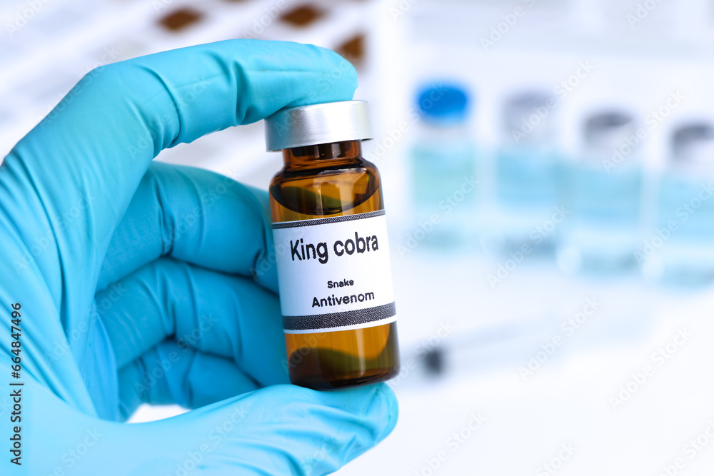king cobra, Snake antivenoms in a vial, Serum for injection to prevent ...