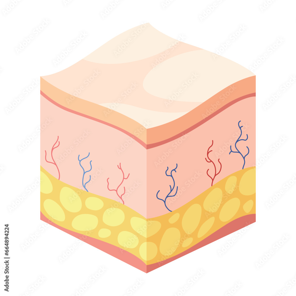 Hyaluronic acid isometric. Profile view cube representing skin ...