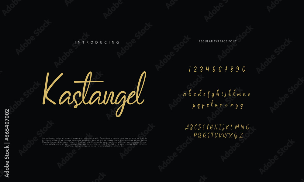 Handwritten Script font. Hand drawn brush style modern calligraphy ...