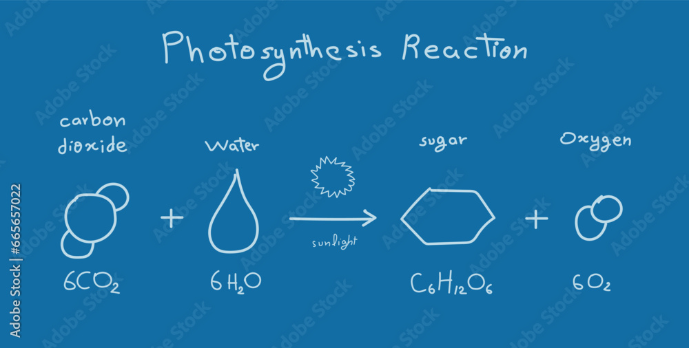 Photosynthesis equation. Carbon dioxide, water, sugars and oxygen ...