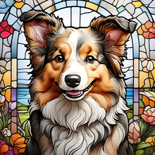 Dog Border Collie, Flowers Free Stock Photo - Public Domain Pictures