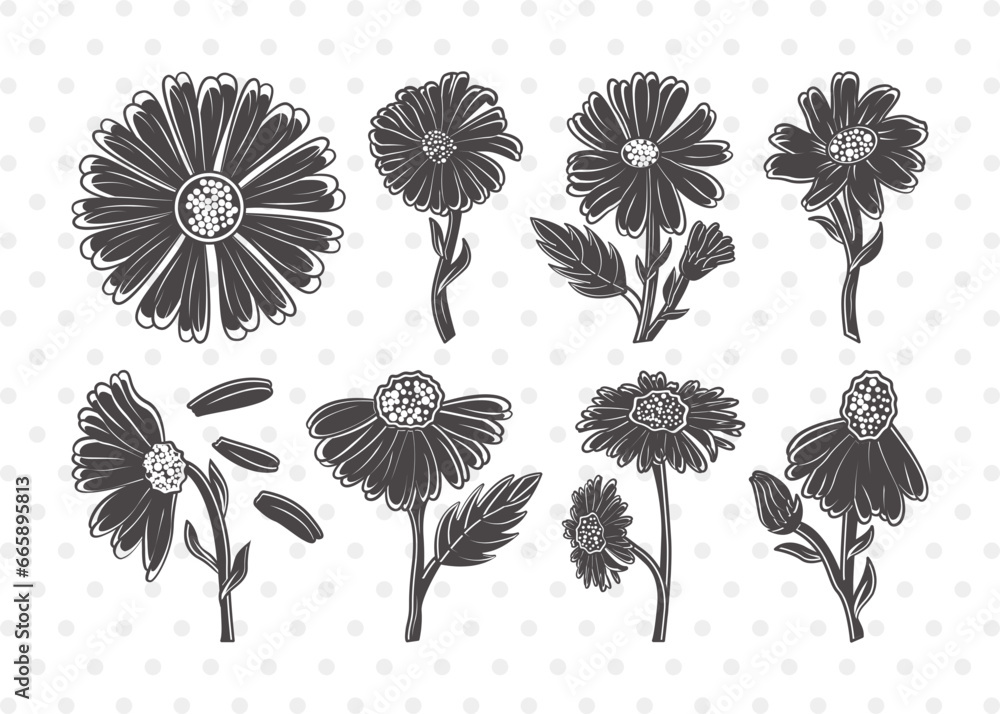 Vector de Stock Daisy Flower Clipart SVG Cut Files | Daisy Flower ...