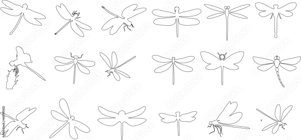 dragonfly Hand drawn,vector illustration of a unique collection of ...
