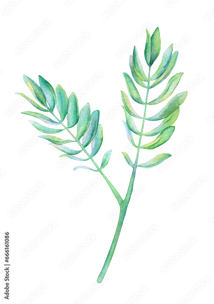 Watercolor floral greenery clip art illustration Stock Illustration ...