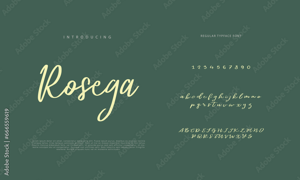 Handwritten Script font. Hand drawn brush style modern calligraphy ...