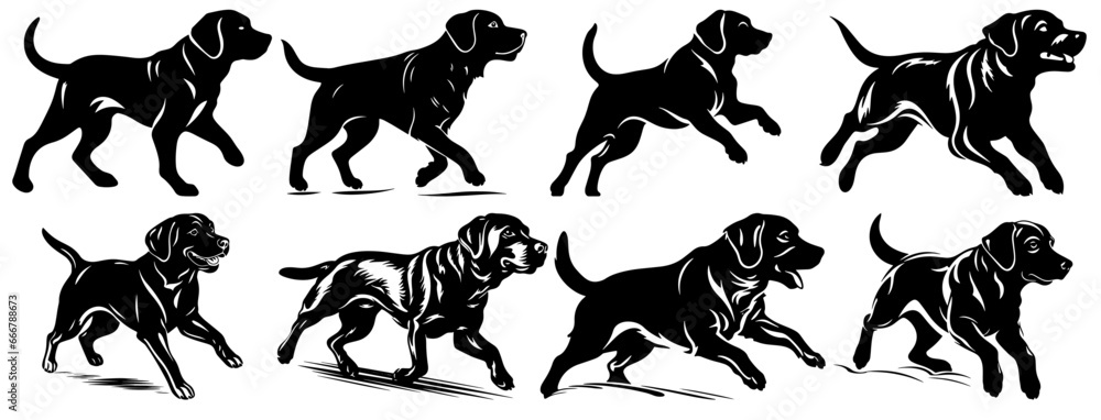 Labrador retriever dog silhouette in different poses Stock Vector ...