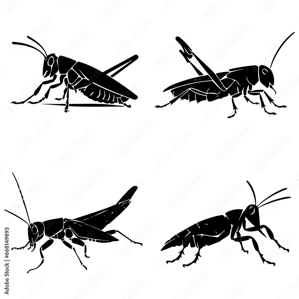 Grasshopper Silhouette Grasshopper Png Grasshopper Svg Grasshopper