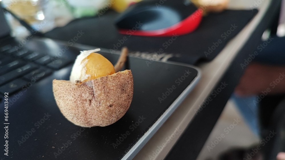 Baccurea Macrocarpa, also known as a donkey, is a kind of fruit plants ...