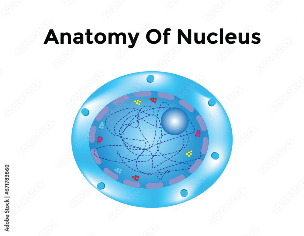 Atom Scientific poster with atomic structure nucleus of protons and ...