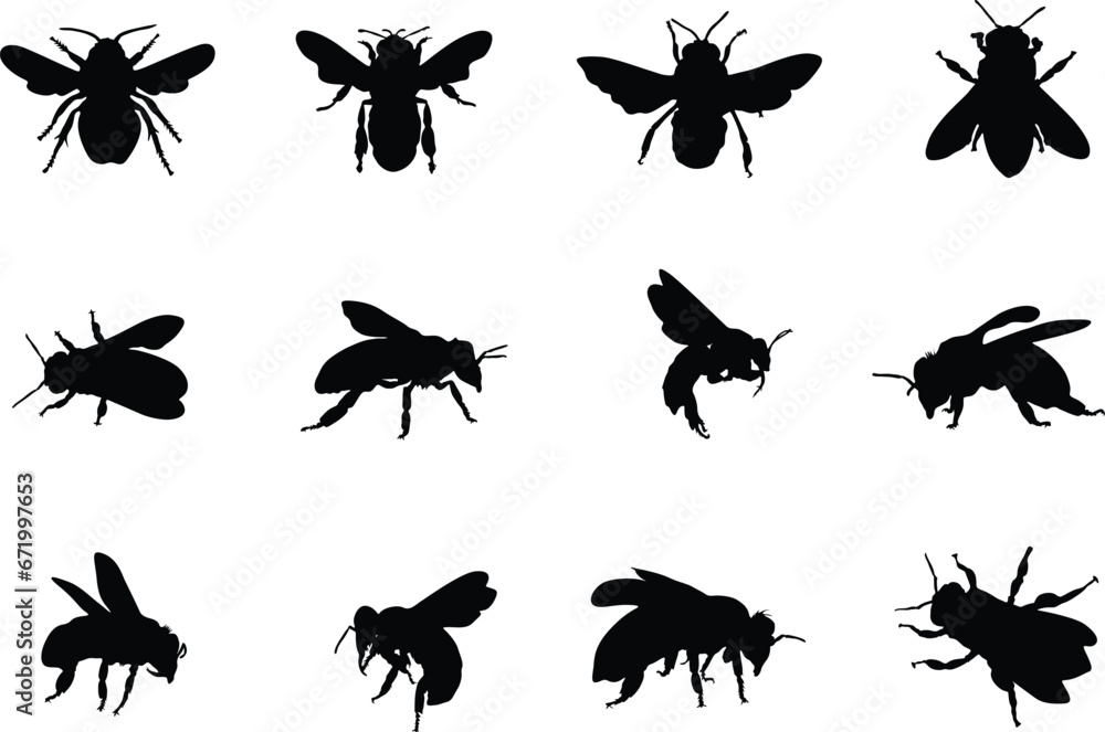 Vector de Stock Honey bee silhouette, Honeybee silhouettes, Bee ... Vector de Stock Honey bee silhouette, Honeybee silhouettes, Bee ...