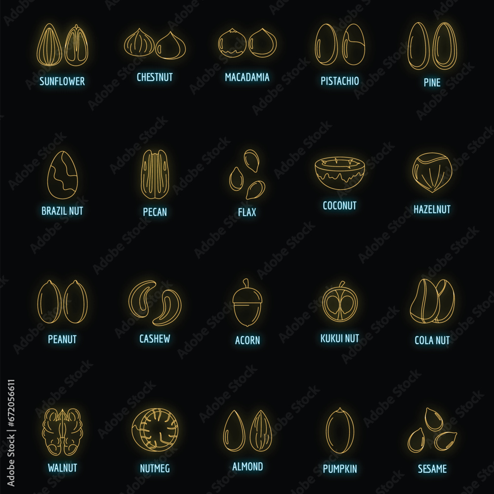 Nut types with signed names icons set. Outline illustration of 20 nut ...