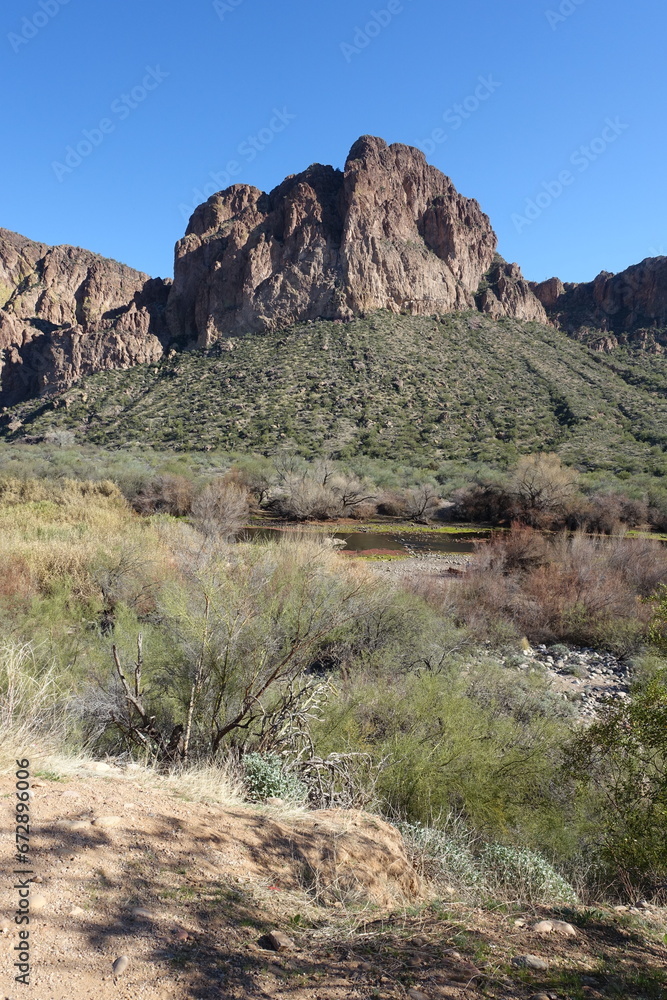 Beautiful inspiring views of desert peaks and flora surround the Salt ...
