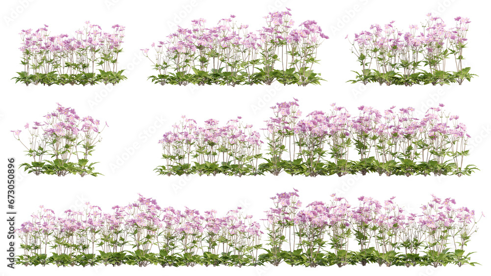 Flowering shrubs 3D rendering with transparent background, for ...