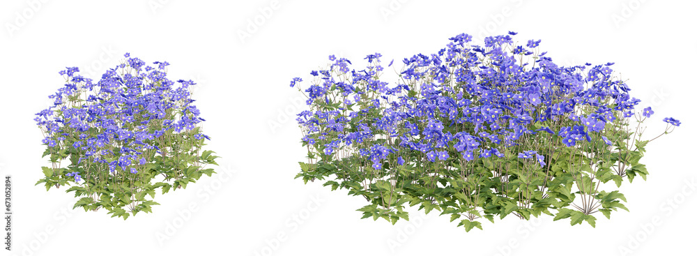 Flowering shrubs 3D rendering with transparent background, for ...