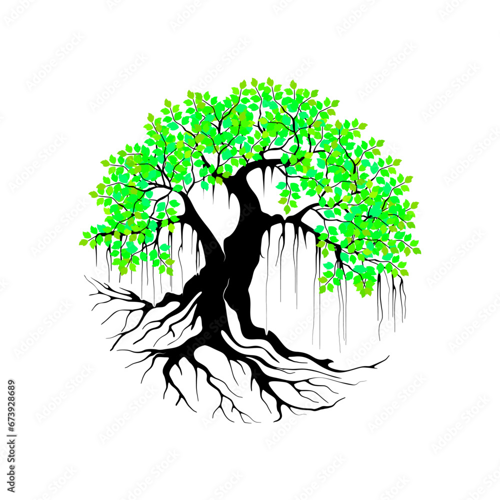 rooted tree design. banyan tree with circular shape vector illustration ...