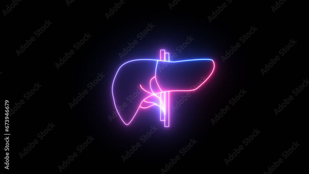 The anatomy of the human liver. Organ anatomy in outline vector artwork ...