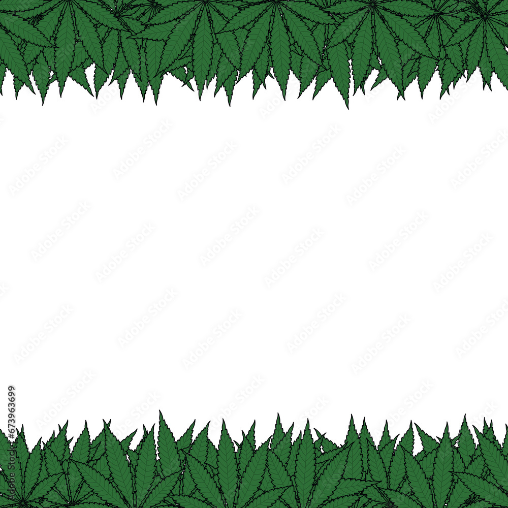 Cannabis leaves illustration frame on transparent background. Marijuana ...