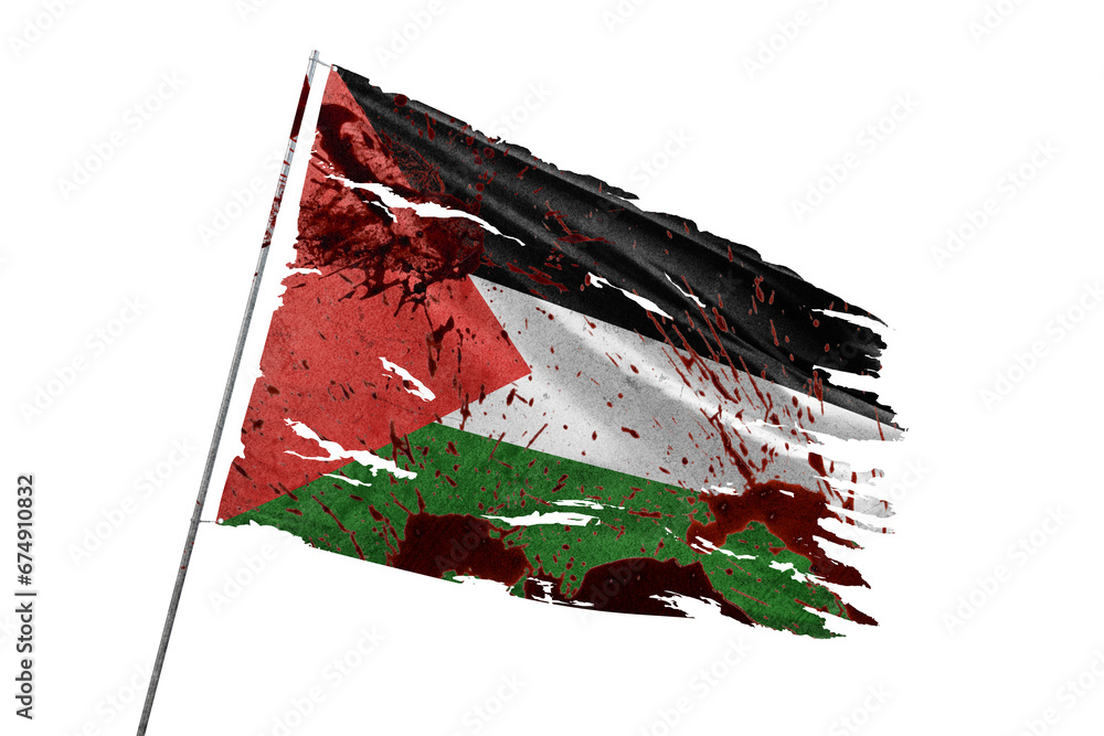 Palestine torn flag on transparent background with blood stains. Stock ...
