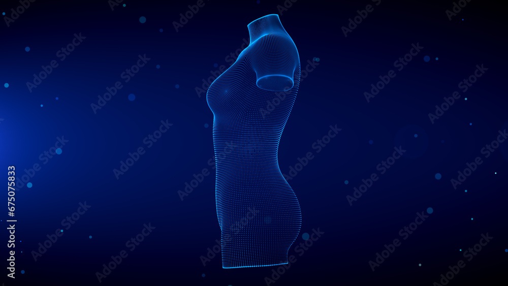 Blue Shine Side View 3d Human Female Torso Wireframe Hologram With ...