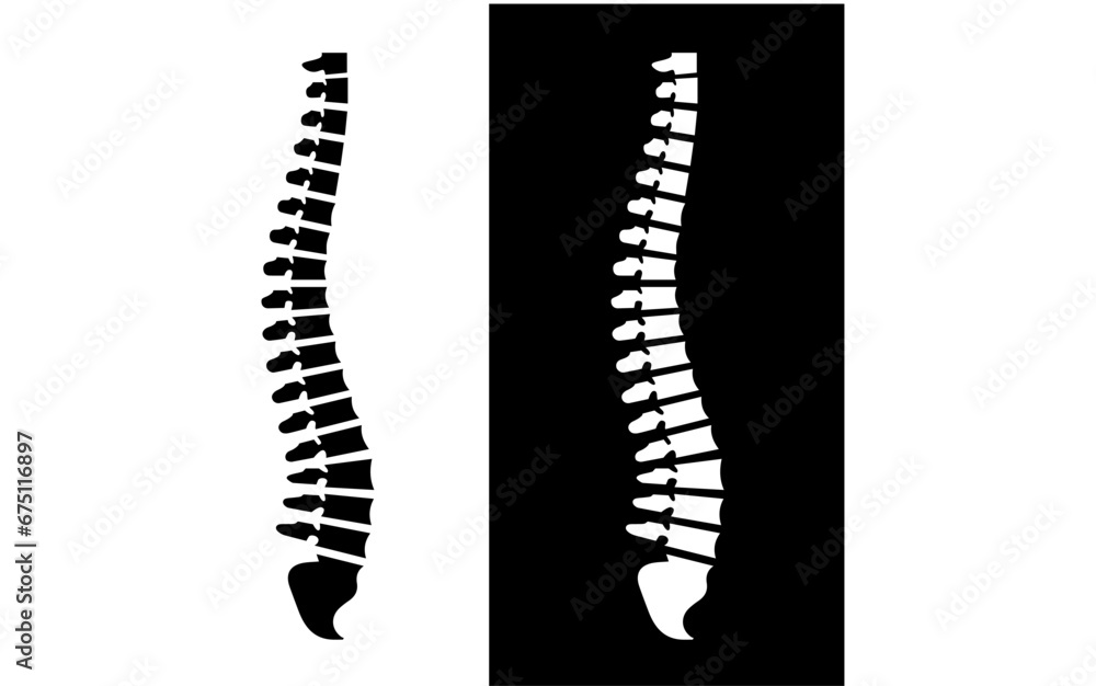 Human skeleton. Spine silhouette. Spine body bones - sacrum, vertebrae ...