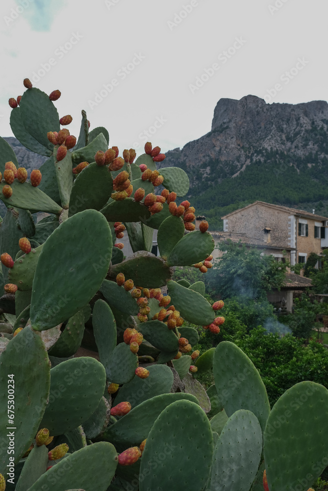 Medieval historic old house facades architecture in small alleys ...