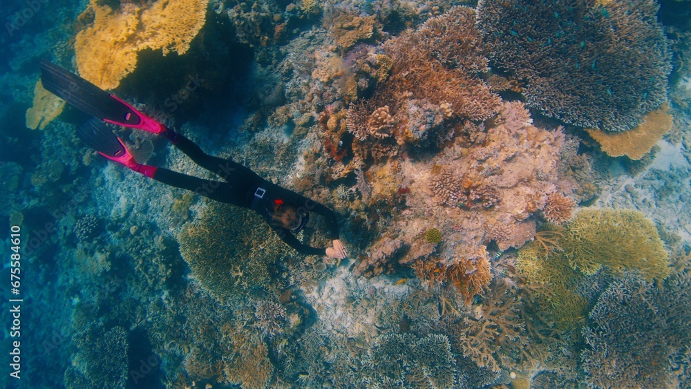 Freediving on the abundant healthy reef. Woman freediver glides ...