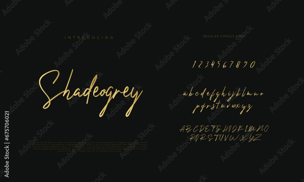 Handwritten Script font. Hand drawn brush style modern calligraphy ...