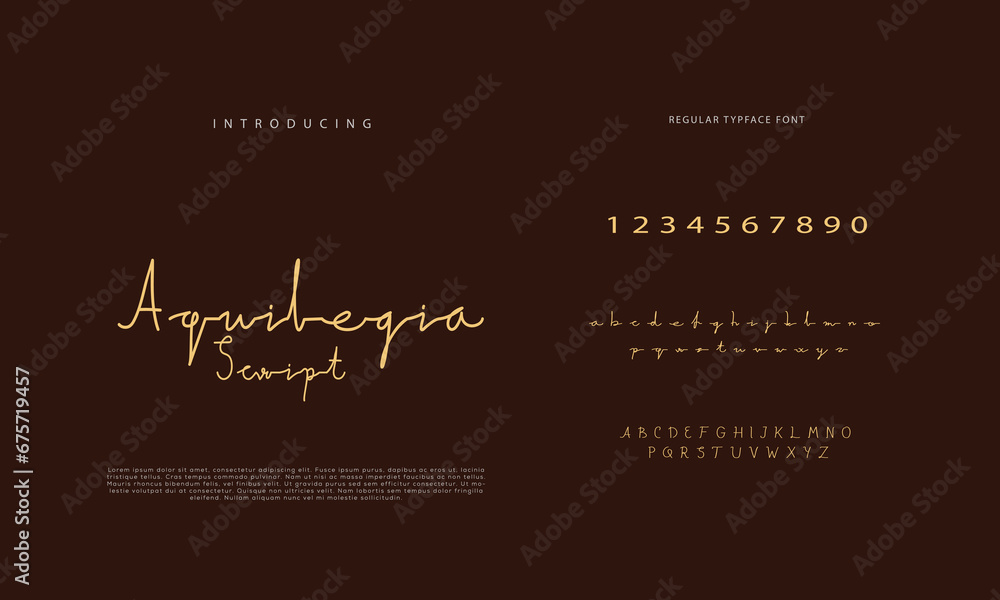 Handwritten Script font. Hand drawn brush style modern calligraphy ...